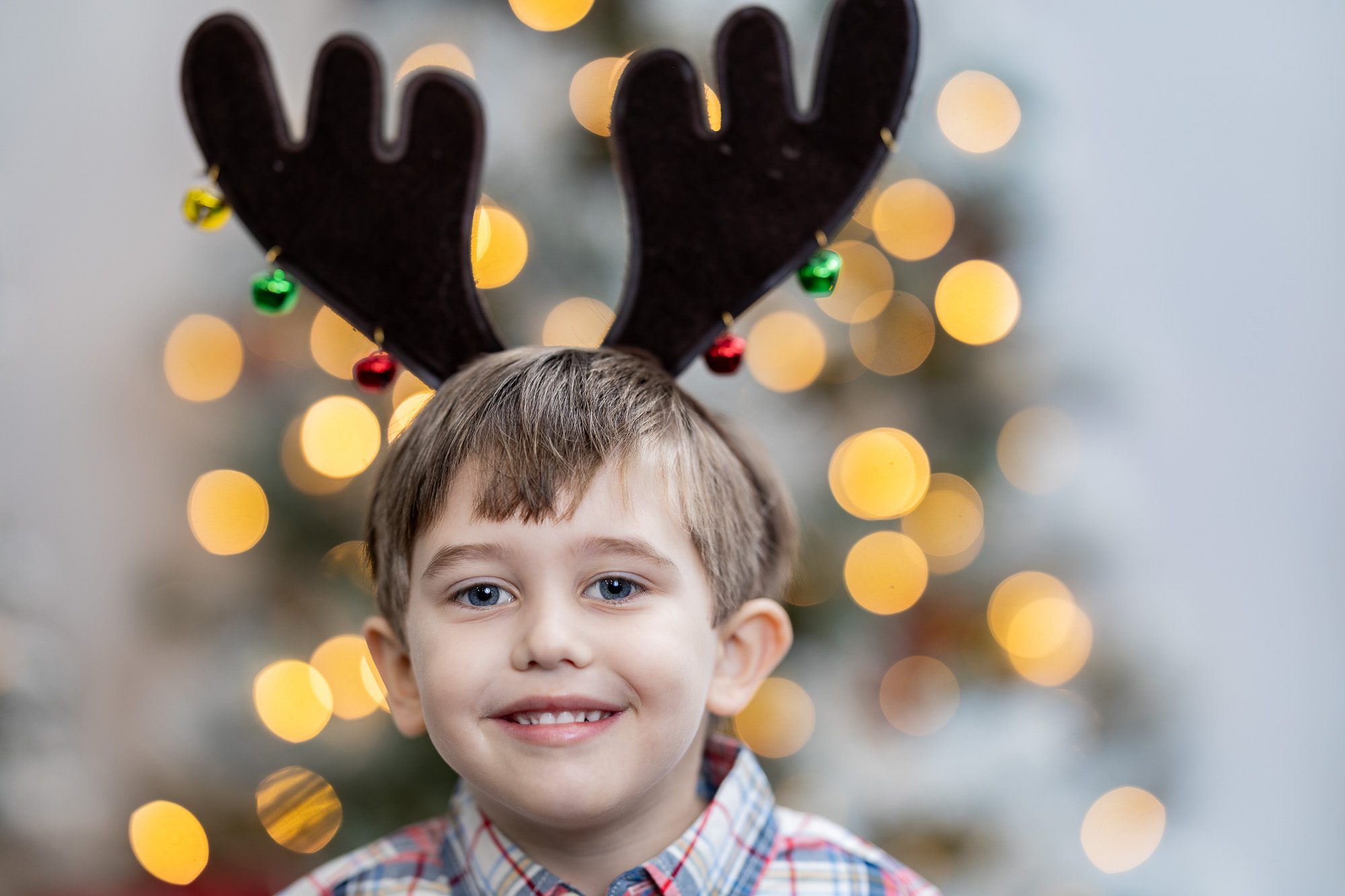 Holiday Photos - Shane Lawrence Photography