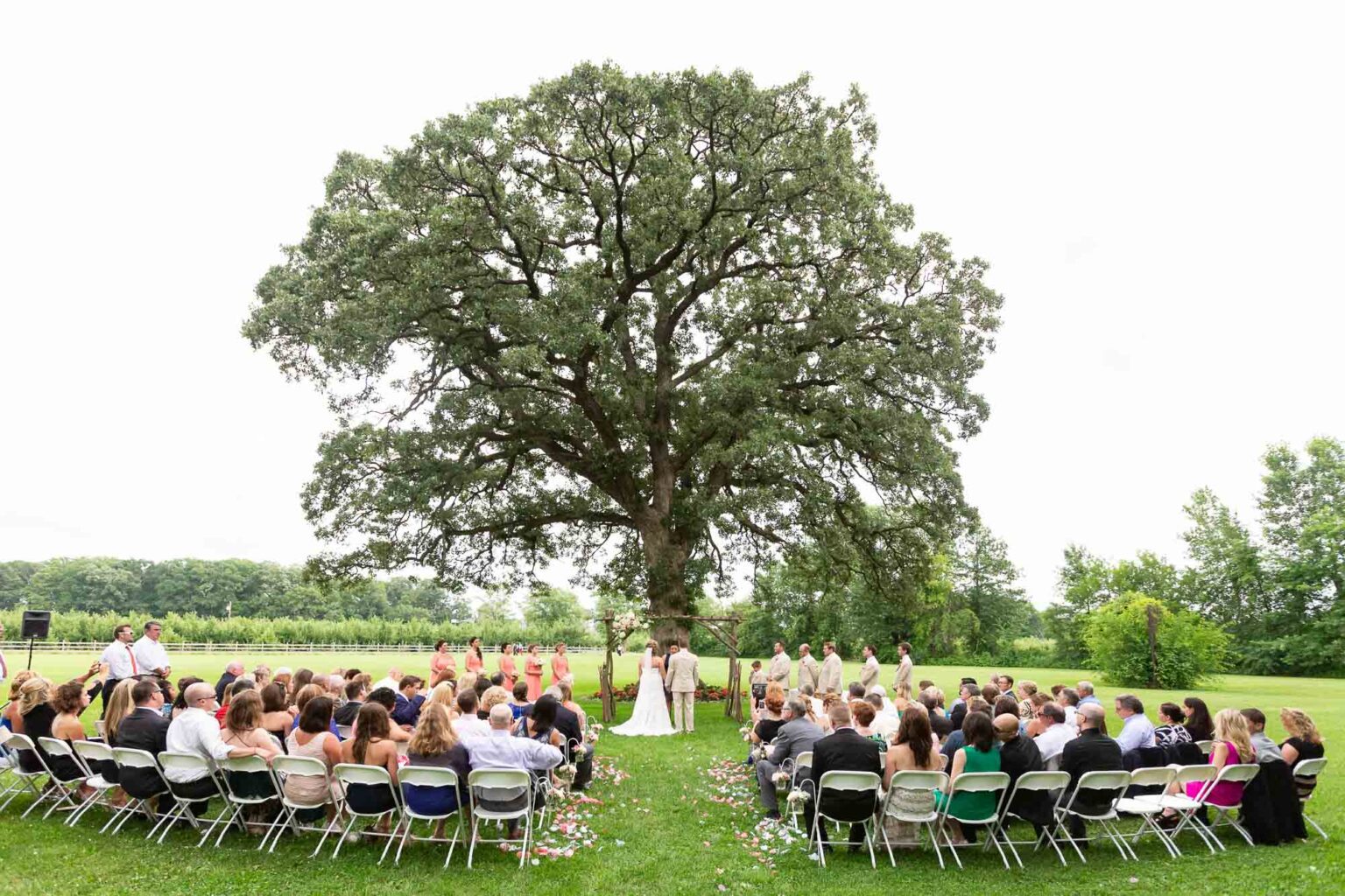 County Line Orchard Wedding Venue Hobart Indiana
